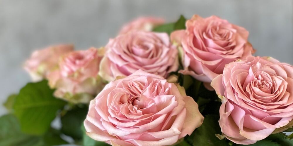 Florist News - Westflor shares the latest!