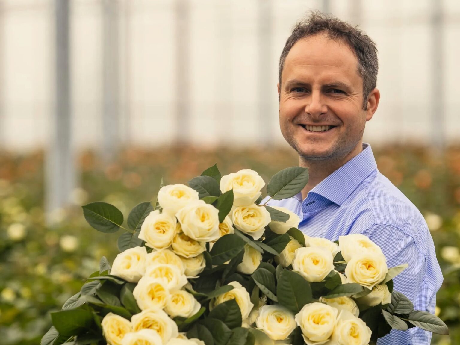 Wans Roses: Discover Stunning New Rose Varieties for 2025!